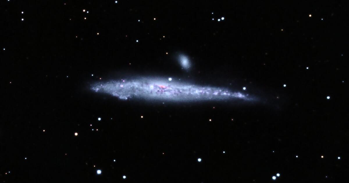 The Whale Galaxy NGC4631 | Telescope Live
